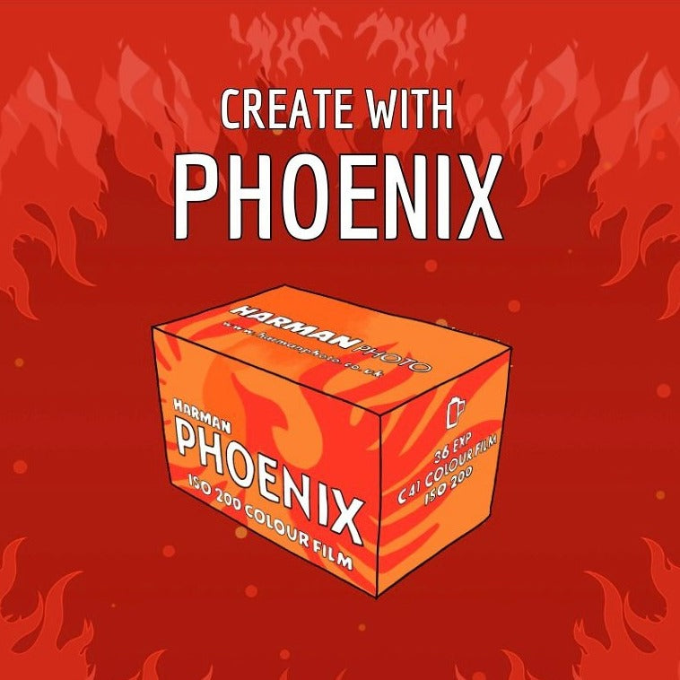 Create with Phoenix - Workshop – AnalogTheRoom